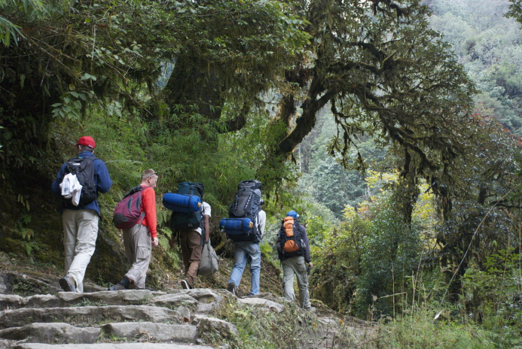 Our Treks in Nepal